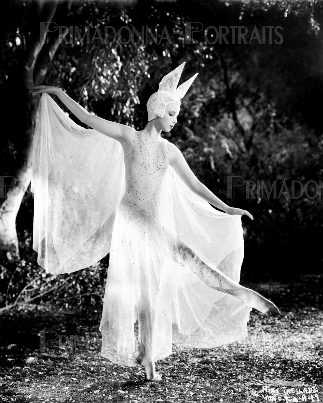 NINI THEILADE 5x7 or 8x10 1935 "midsummer Night's Dream" First Fairy ...