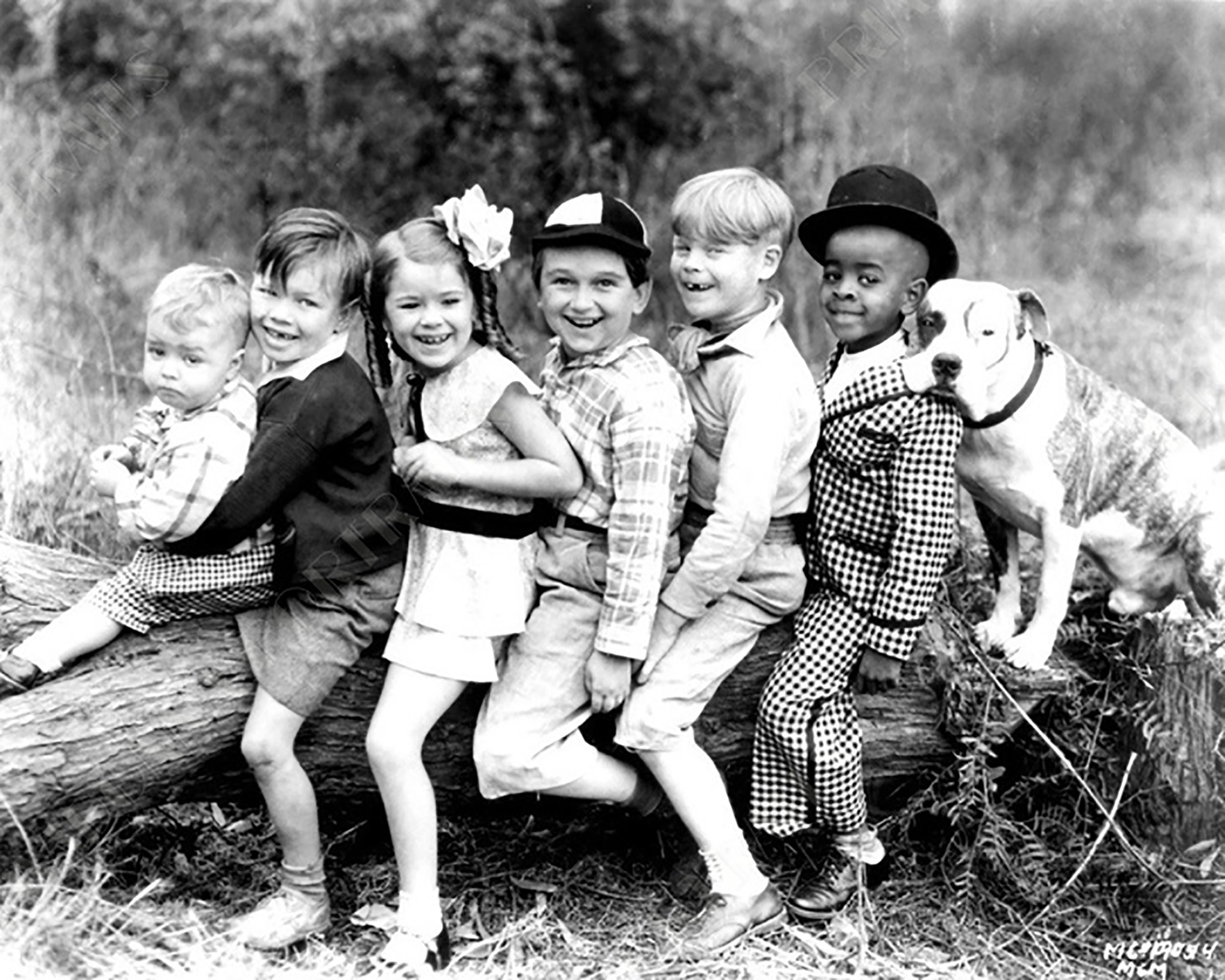 What Was The Little Rascals Dog