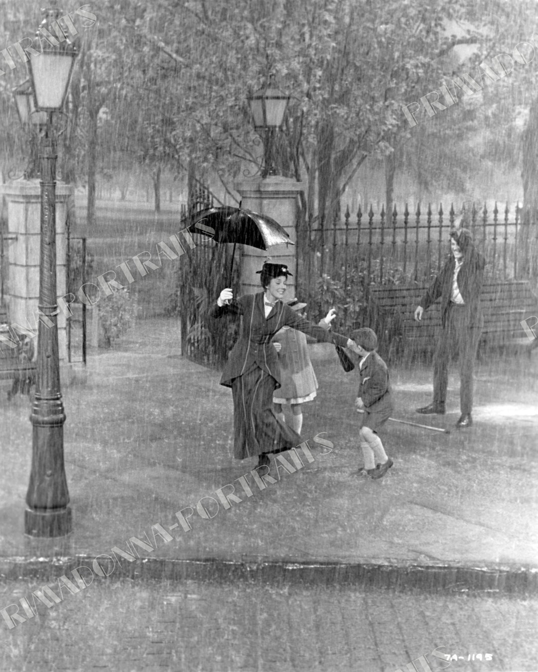 JULIE ANDREWS, Dick Van Dyke 5x7, 8x10, or 11x14 1964 mary Poppins ...