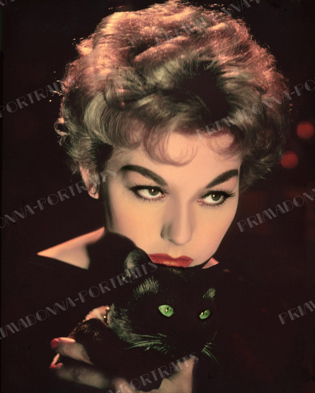 KIM NOVAK 5x7 or 8x10 Actress With Cat Kitty Photo Print Golden Age of ...