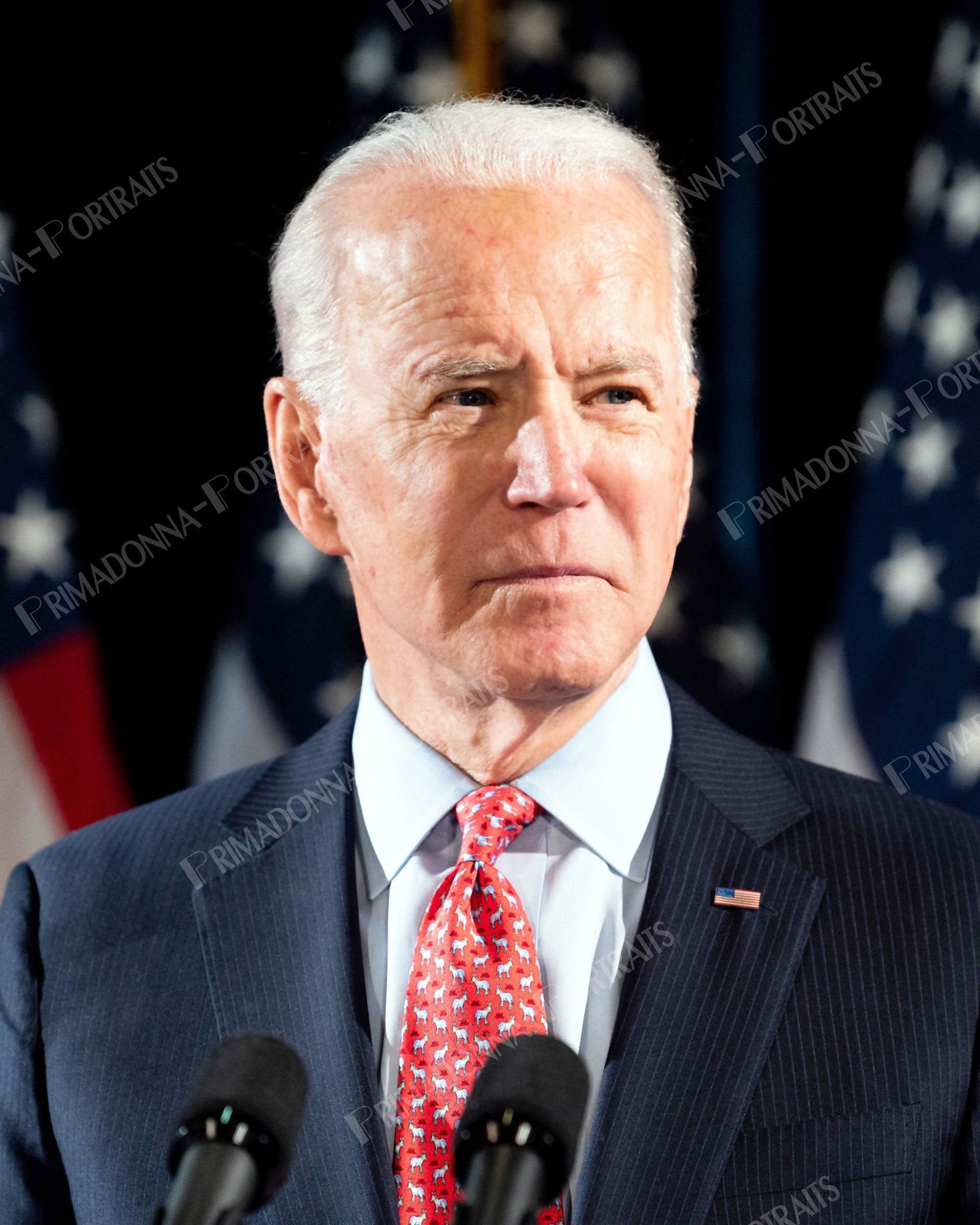 JOE BIDEN 5x7 or 8x10 Photo Print Hollywood 2010s Color - Etsy