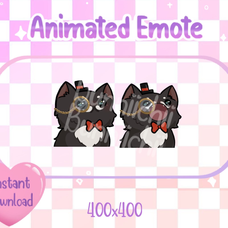 Tuxedo Cat Fancy Portrait - Etsy