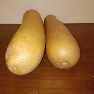 Hand Carved African Calabash Gourd Bottle Large Hausa Fulani Natural ...