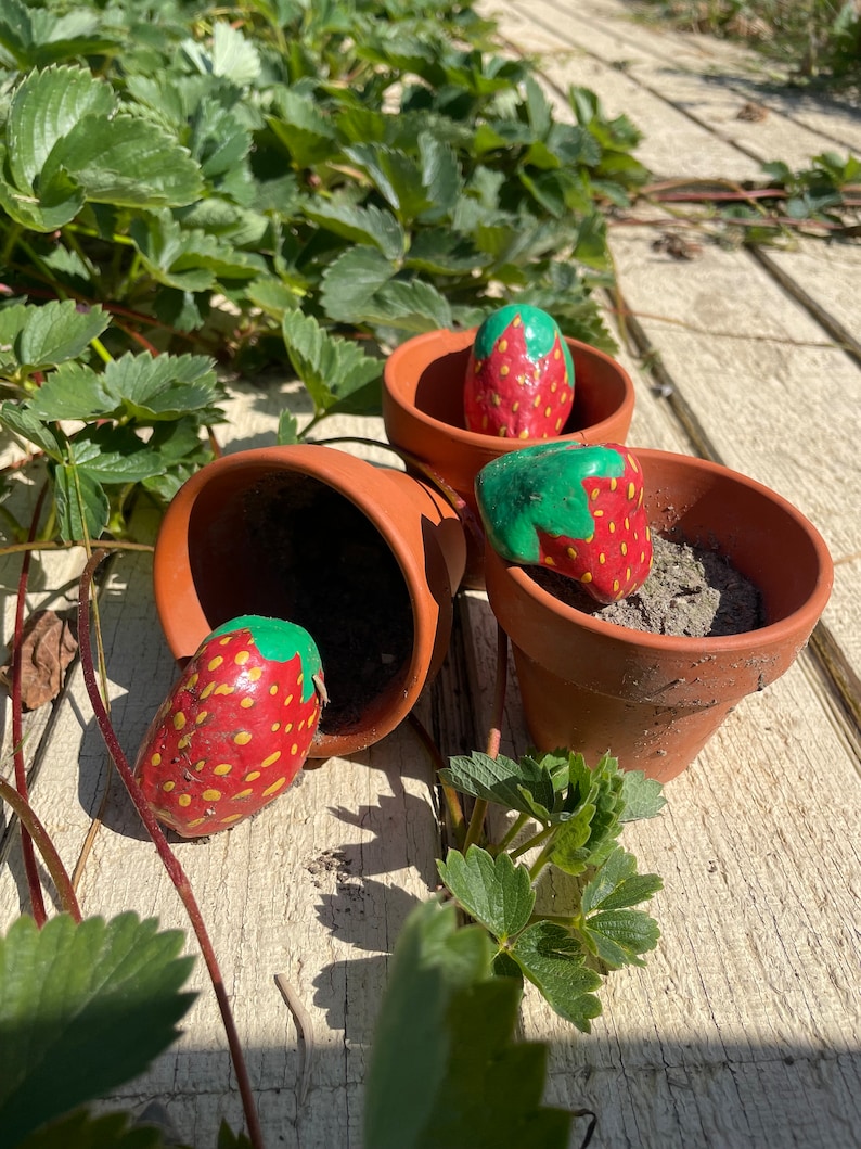 Strawberry Painted Rocks (set of 6) – Bird Deterrent Garden Decor - Etsy
