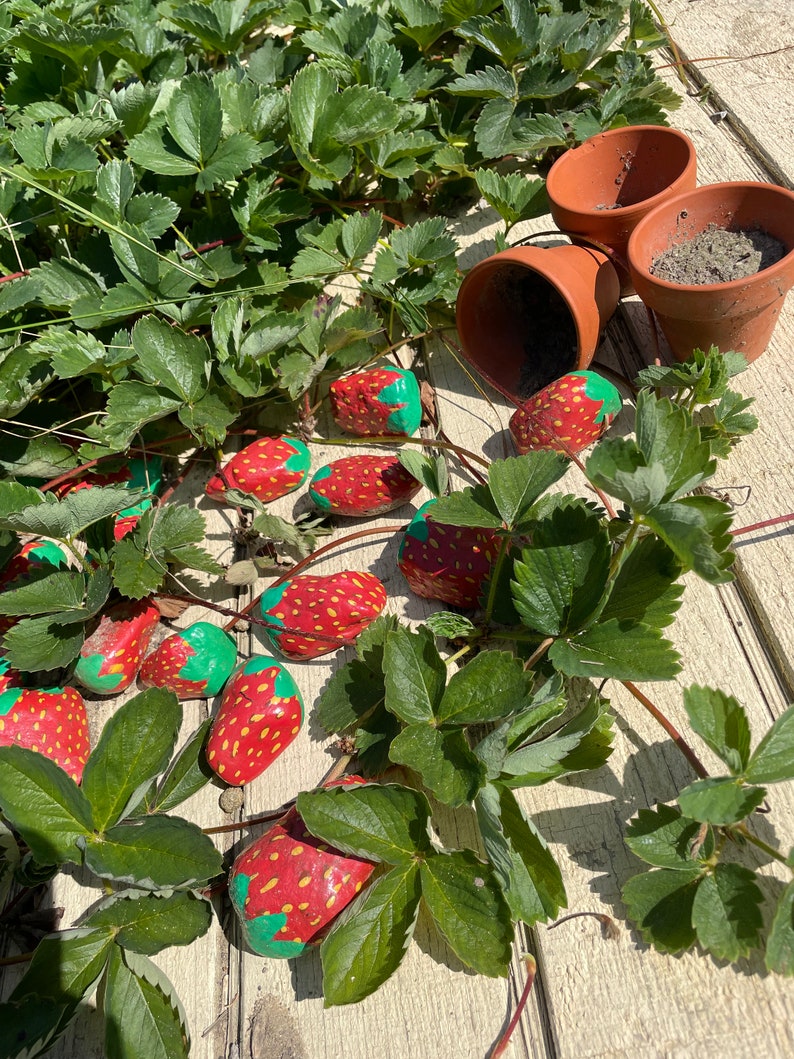 Strawberry Painted Rocks (set of 6) – Bird Deterrent Garden Decor - Etsy