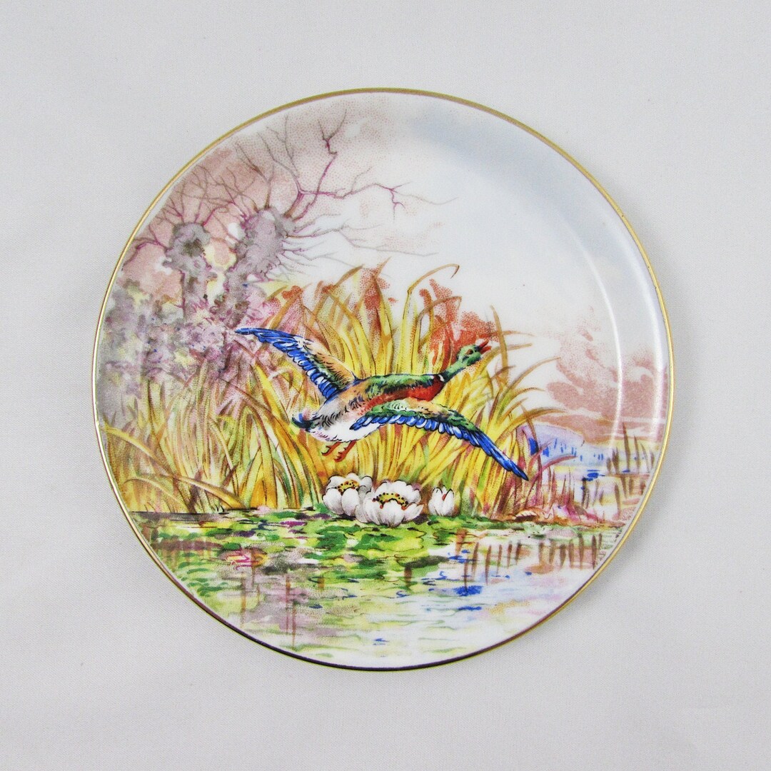 Limoges Hand Painted Coaster, Duck, Water Fowl, Game Bird, Large ...