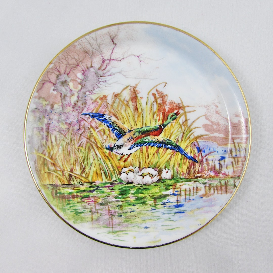 Limoges Hand Painted Coaster, Duck, Water Fowl, Game Bird, Large ...