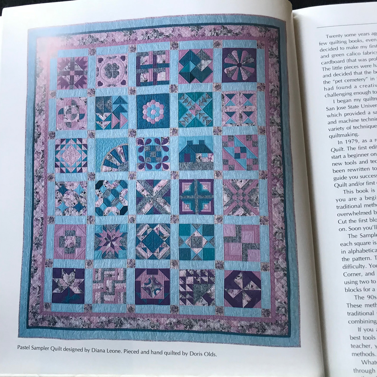 The New Sampler Quilt Book by Diana Leone - Etsy