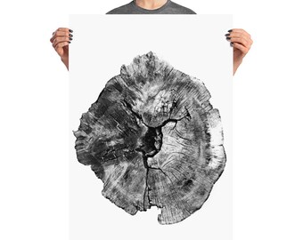 Tree ring art print | Etsy