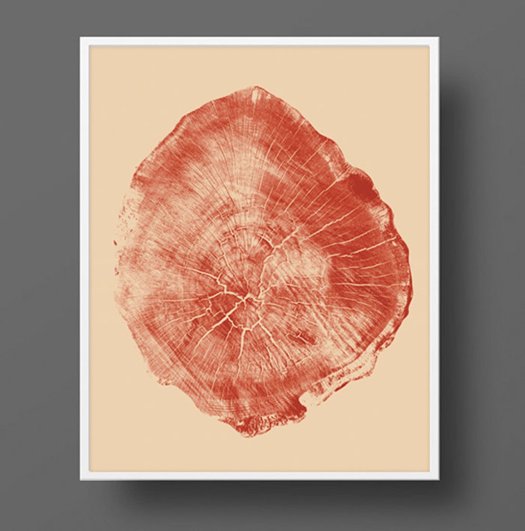 Oak Tree Rings Red and Peach Photograph PRINTABLE English Oak ...