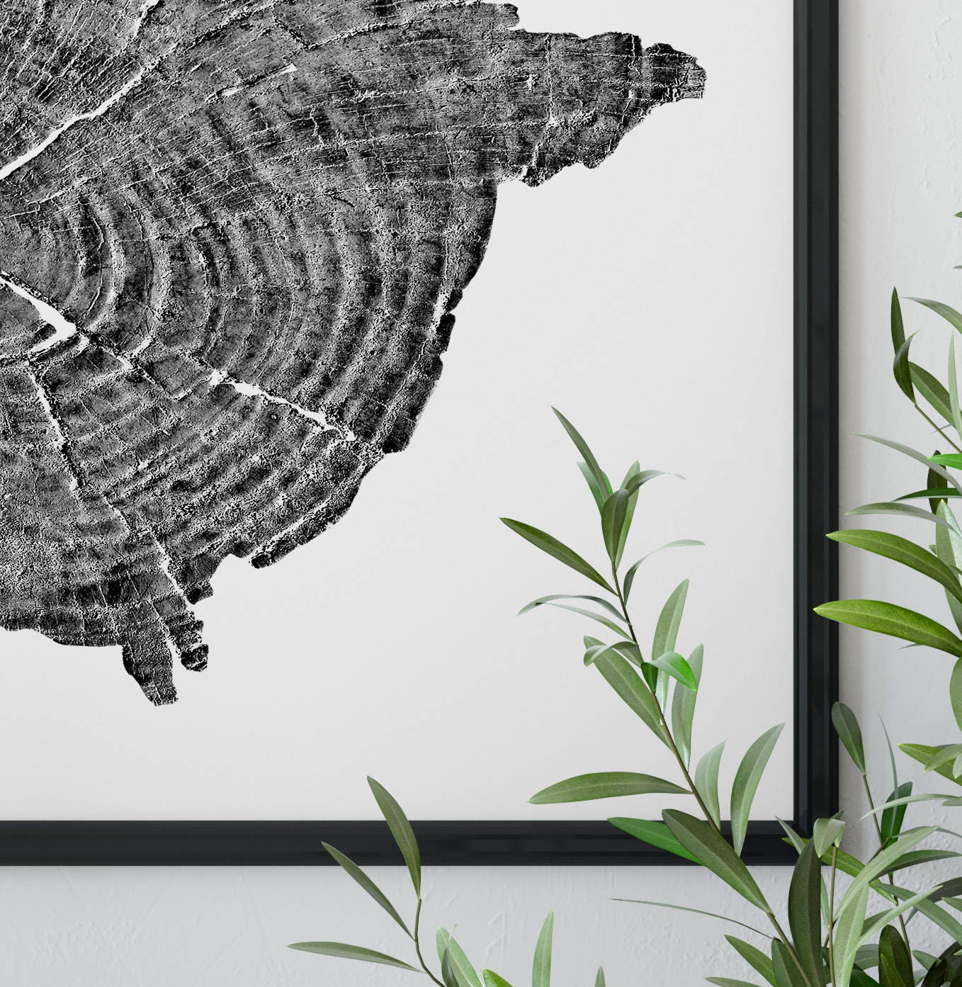 Tree Ring Tree Ring Print Log Print Black and White | Etsy