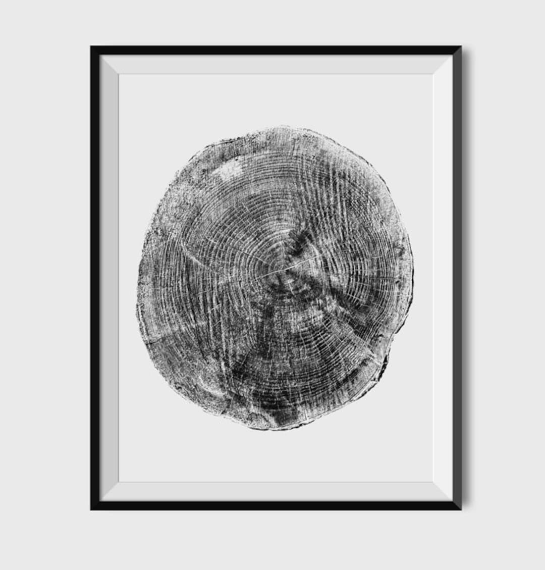 Tree Rings Black and White Photograph: 10x8 Print (PDF) - Etsy