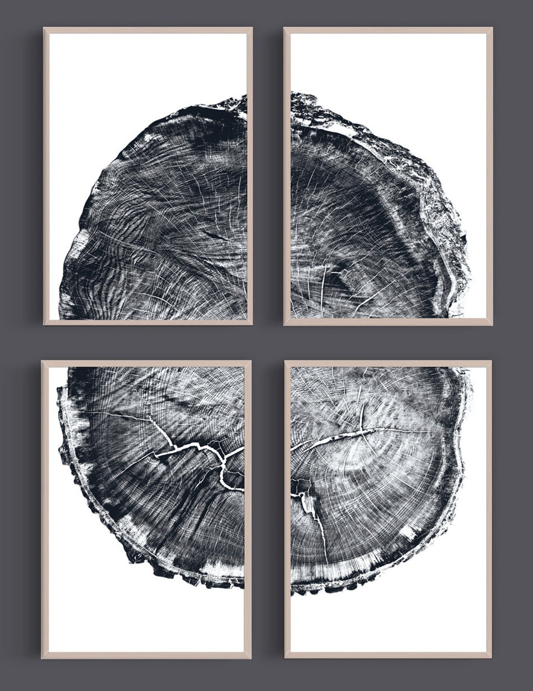 Set of 4 Prints Oak Tree Rings Black and White Photograph - Etsy UK