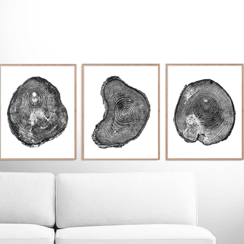 Tree Ring Print - Etsy