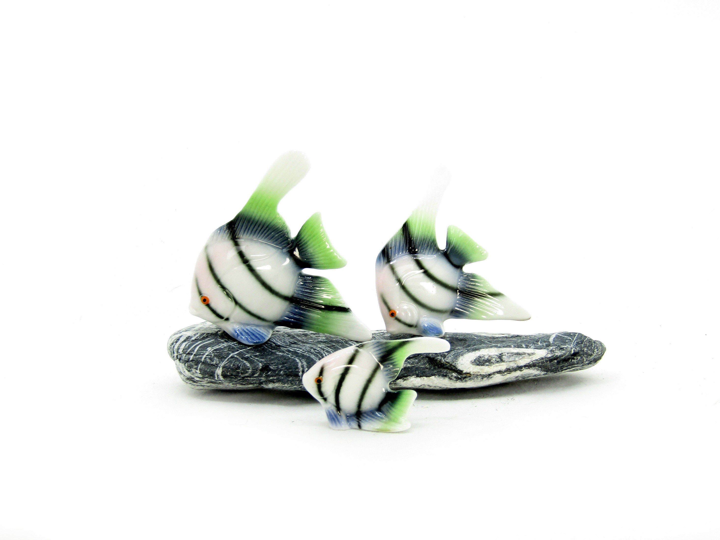 Fine Bone China Angel Fish Family 3 Vintage Highbank - Etsy