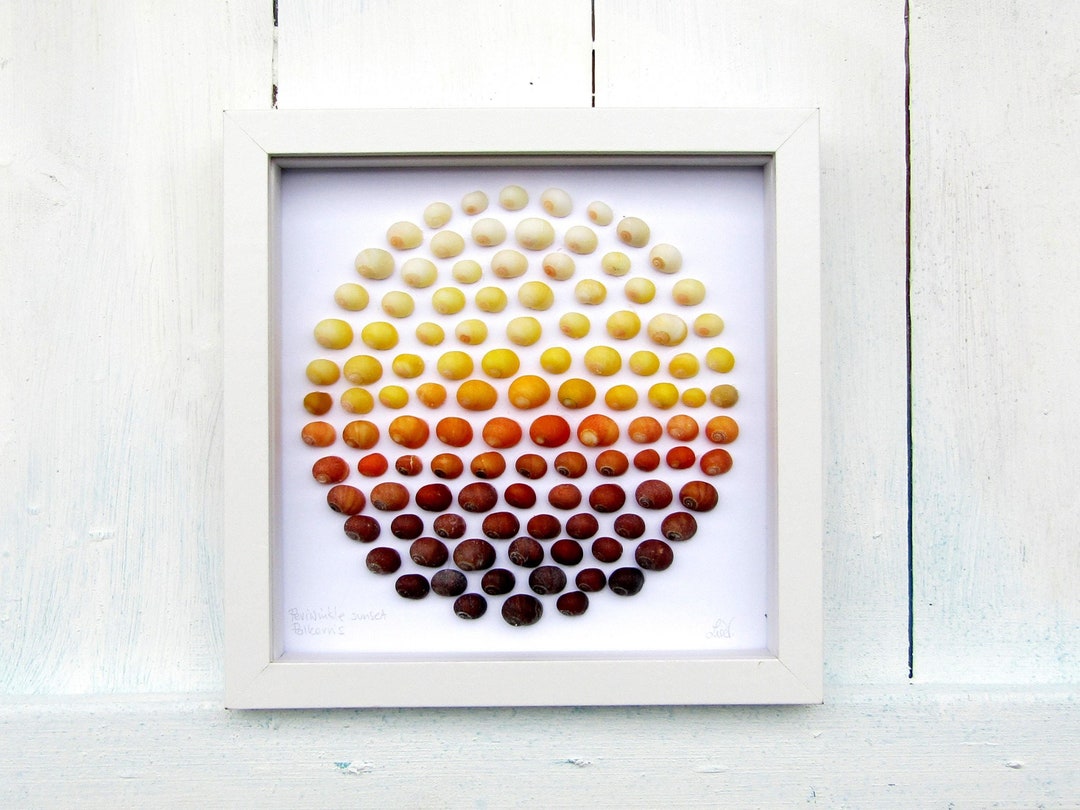 Periwinkle Sunset - Cornish Seashell Art Picture – Hand Made in ...