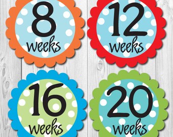 12 Weekly Pregnancy Belly Bump Stickers Pink Blue Orange Green - Etsy