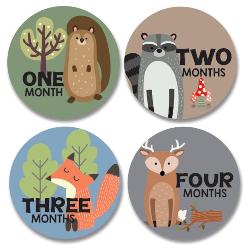 Woodland Month Stickers Boy Woodland Baby Monthly Stickers - Etsy