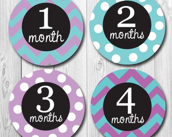 1 12 Month Stickers | Etsy
