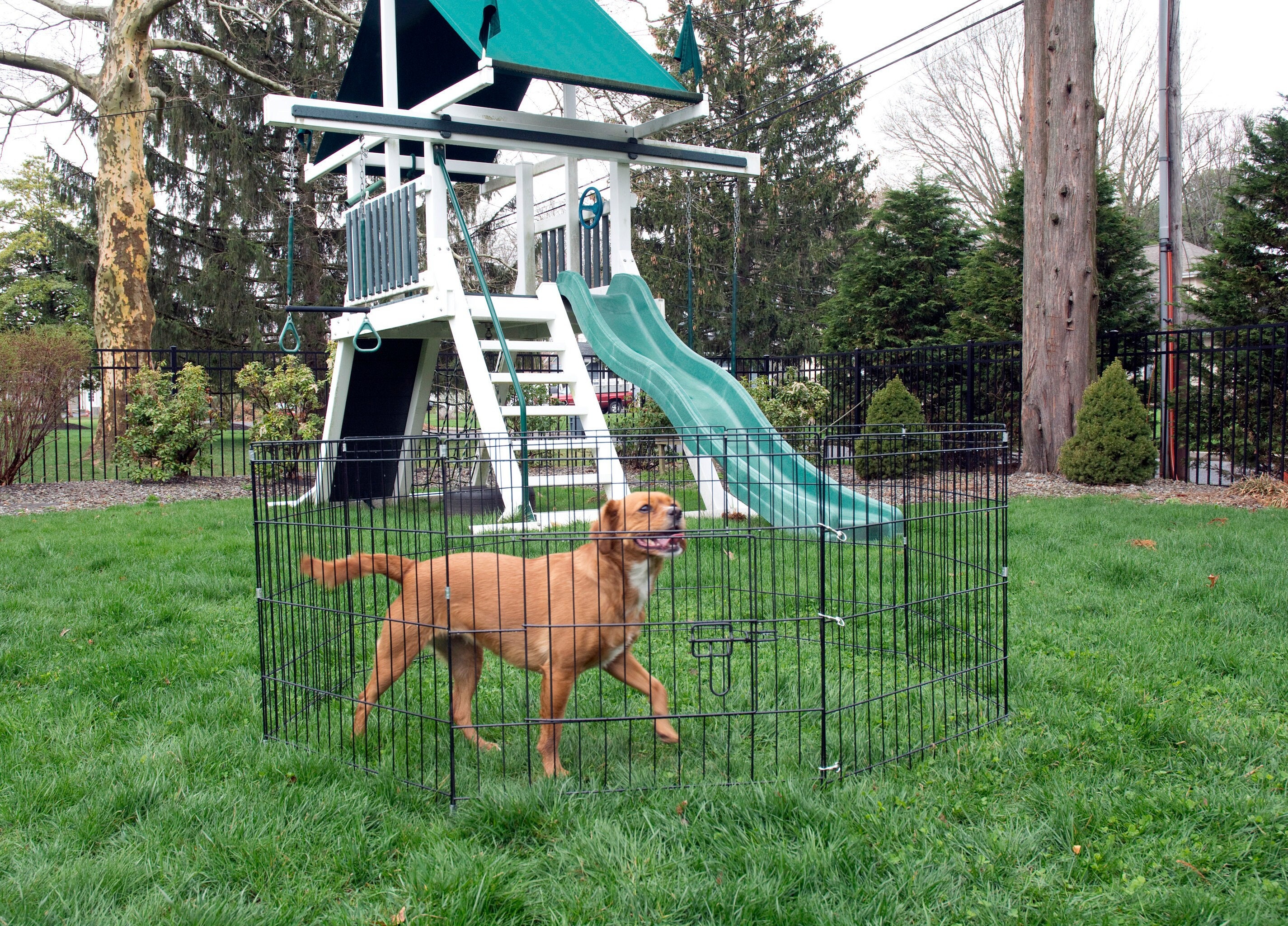 Dog Wire Playpen, Foldable Pet Playpen, 8 Panel Wire Dog Pen, Pet Fence ...