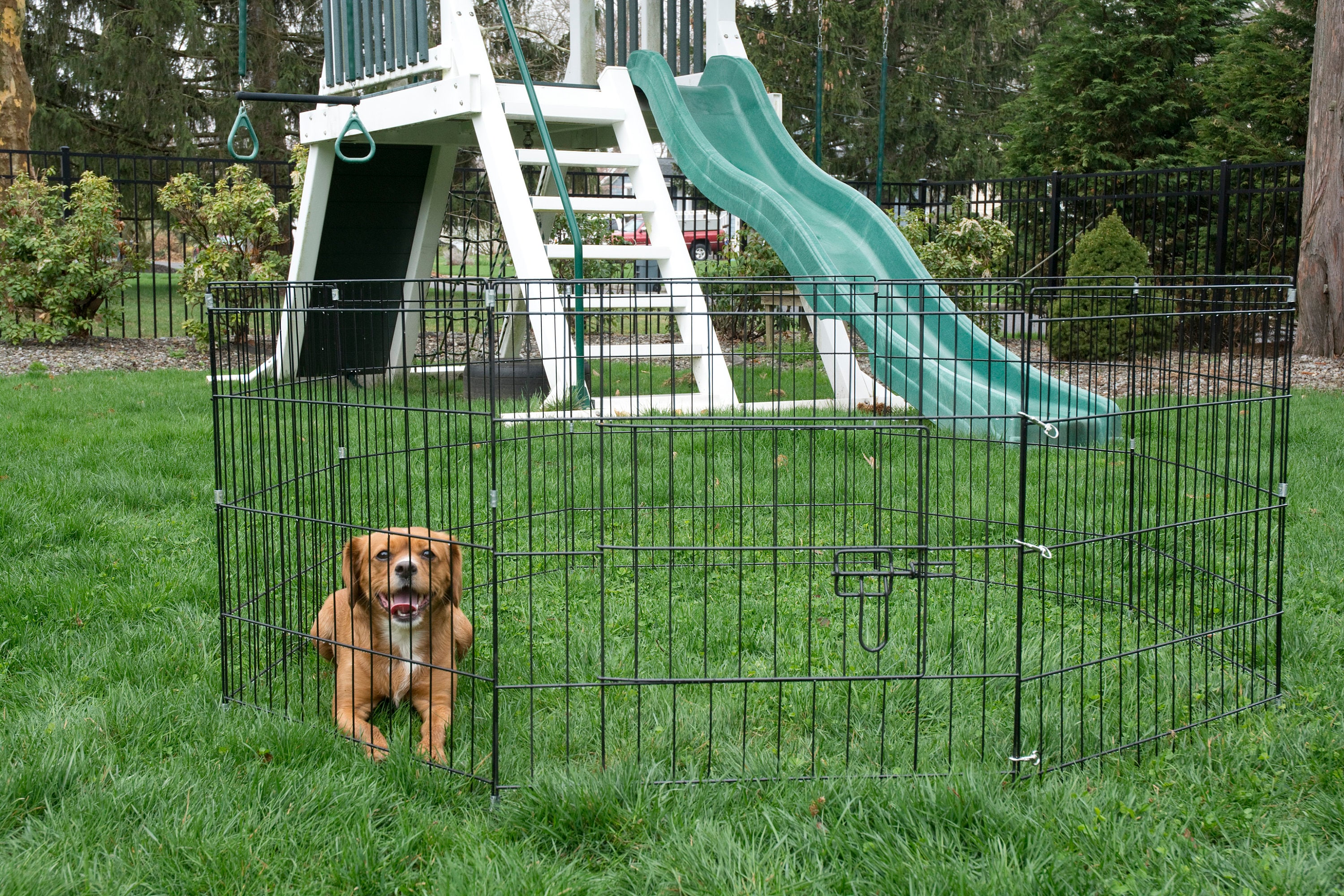 Dog Wire Playpen, Foldable Pet Playpen, 8 Panel Wire Dog Pen, Pet Fence ...