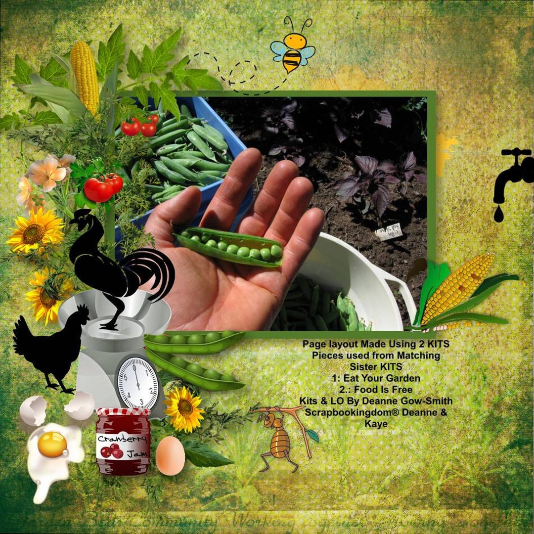 FOOD is FREE Project,scrapbook Kit , Community Garden,images on Display ...