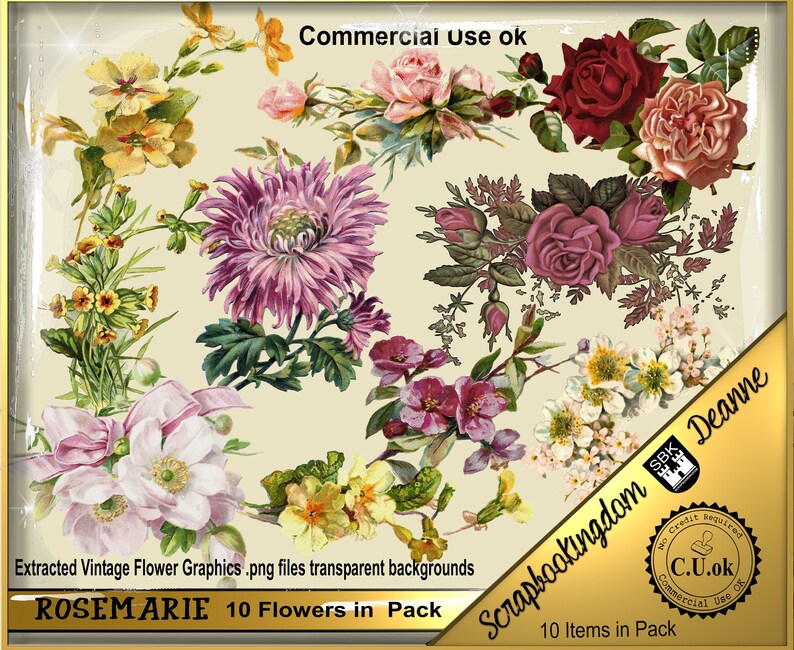 60 Individual SCRAPBOOKING Flower Embellishments Extracted - Etsy