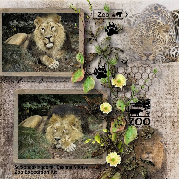 Zoo Scrapbook - Etsy