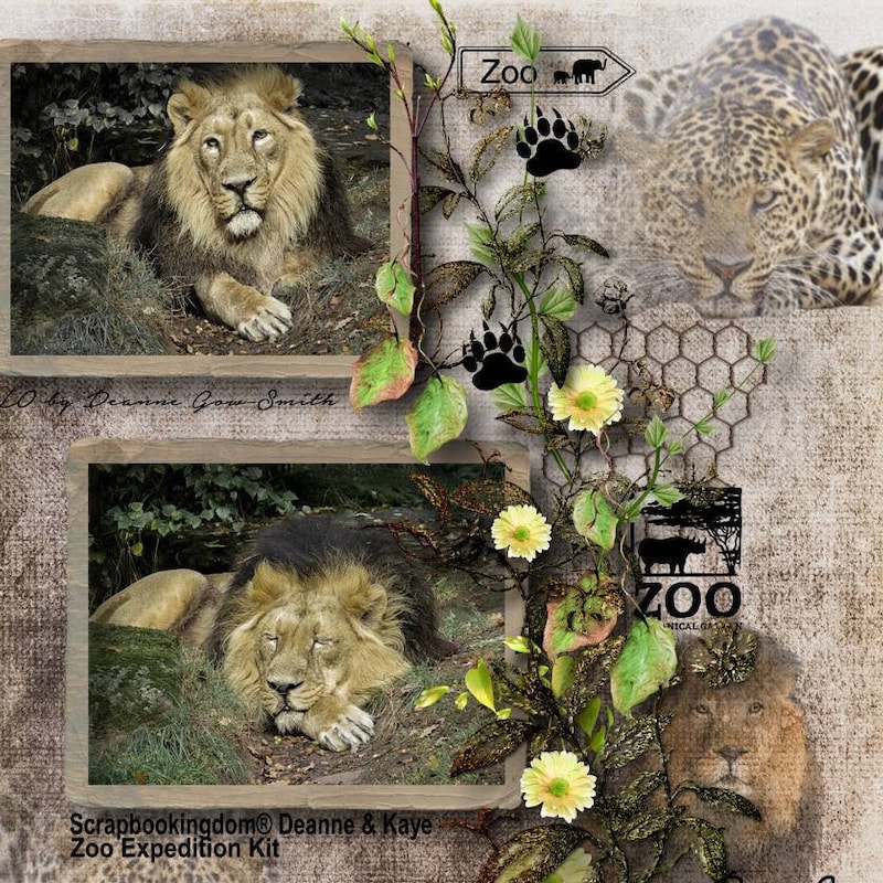 Zoo Scrapbook Layouts - Etsy