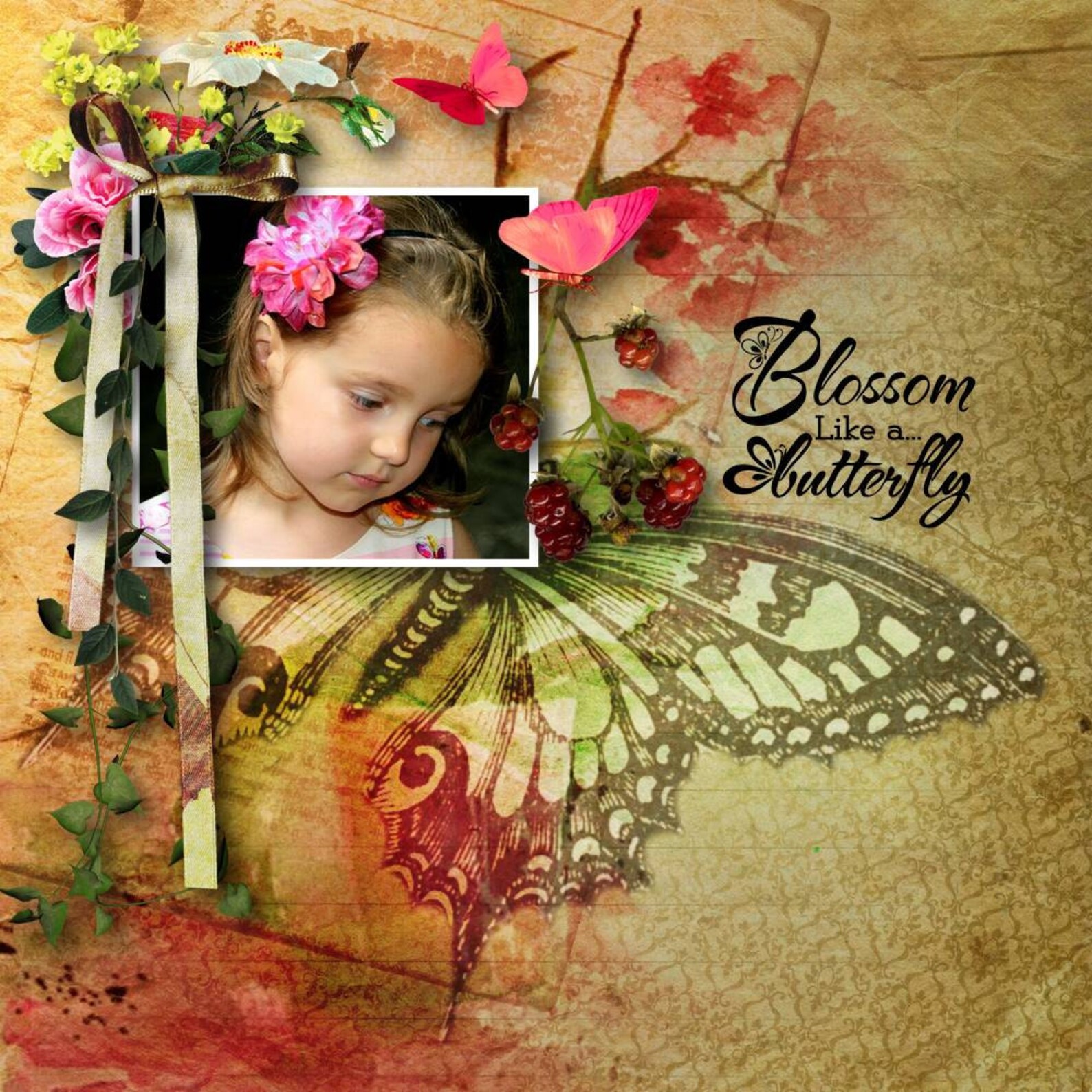 PAPILLON : Butterflies Scrapbook Kit , Great Collection of Butterflies ...