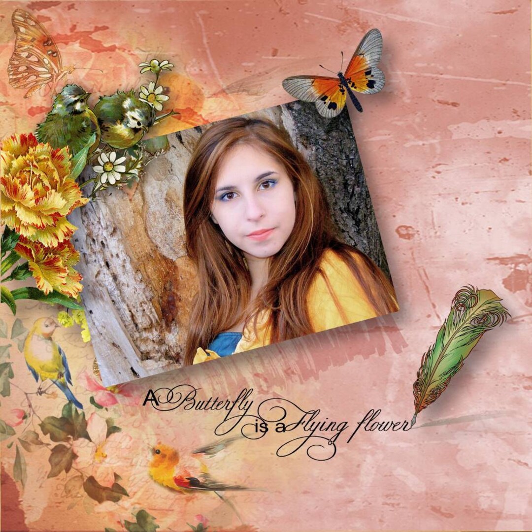 PAPILLON : Butterflies Scrapbook Kit , Great Collection of Butterflies ...