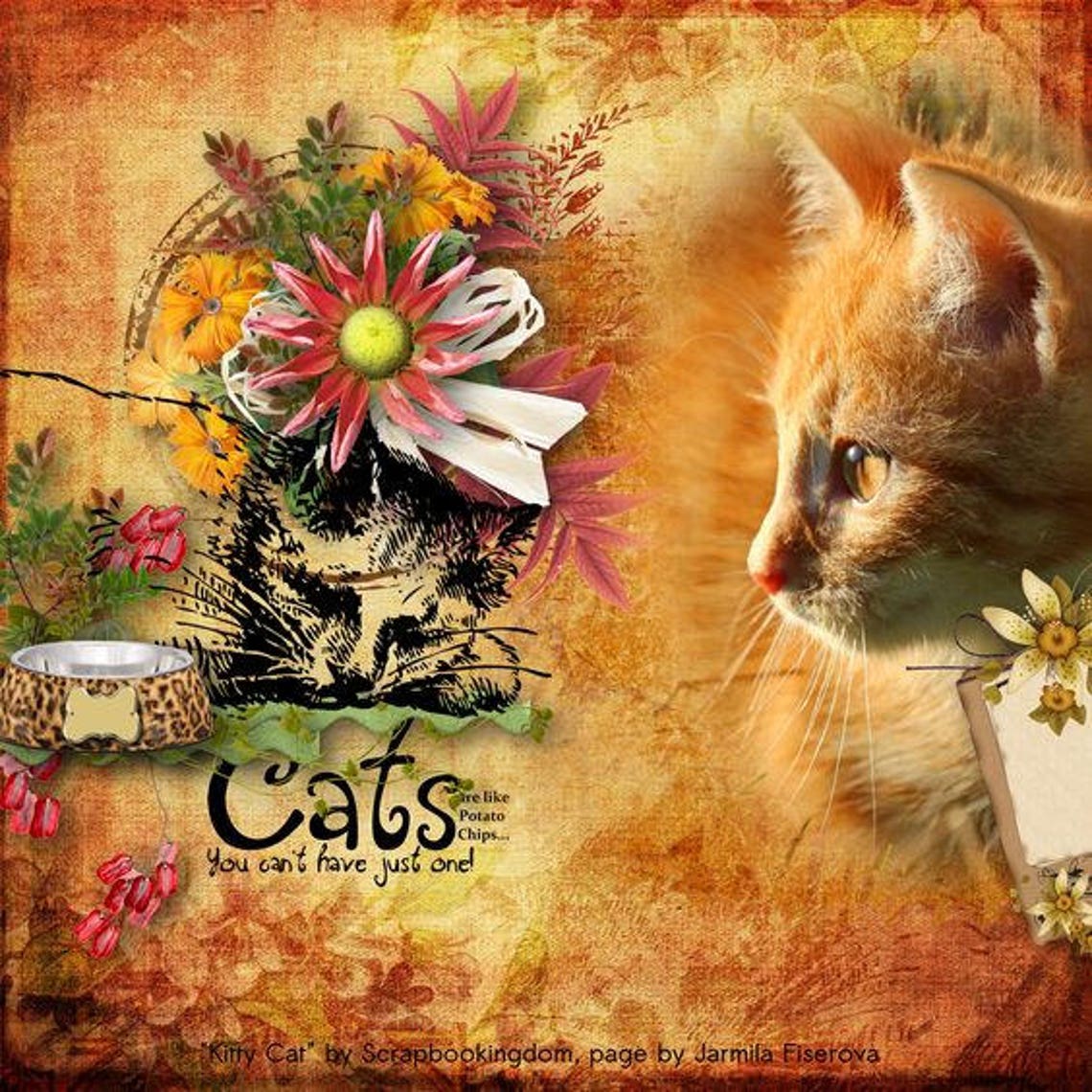 Digital Scrapbook Kit for Pets Cat Theme Kitty Cat Kit | Etsy