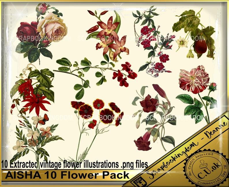 60 Individual SCRAPBOOKING Flower Embellishments Extracted - Etsy