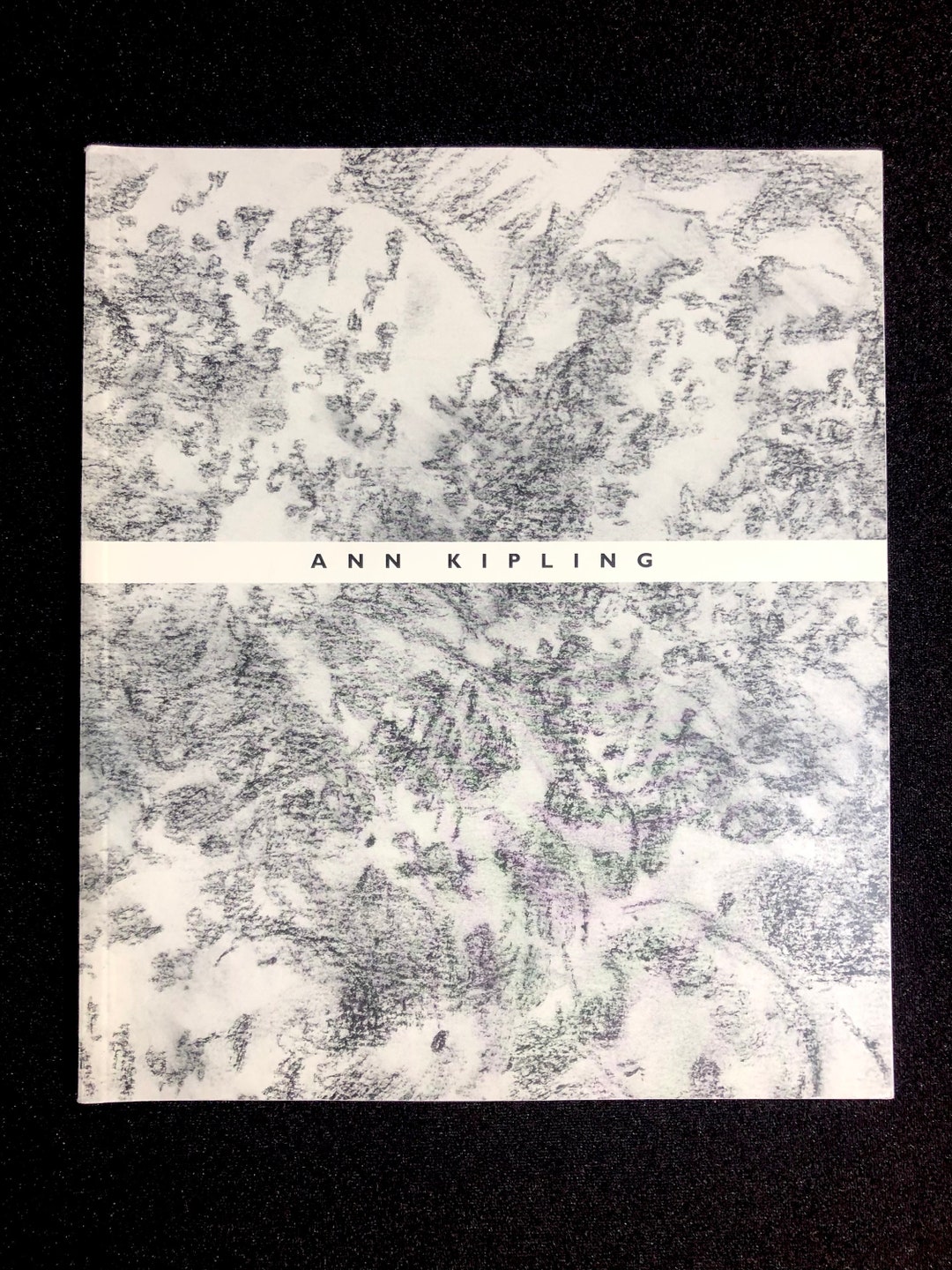 Ann Kipling - Vancouver Art Gallery 1995 Exhibition Catalog - Etsy
