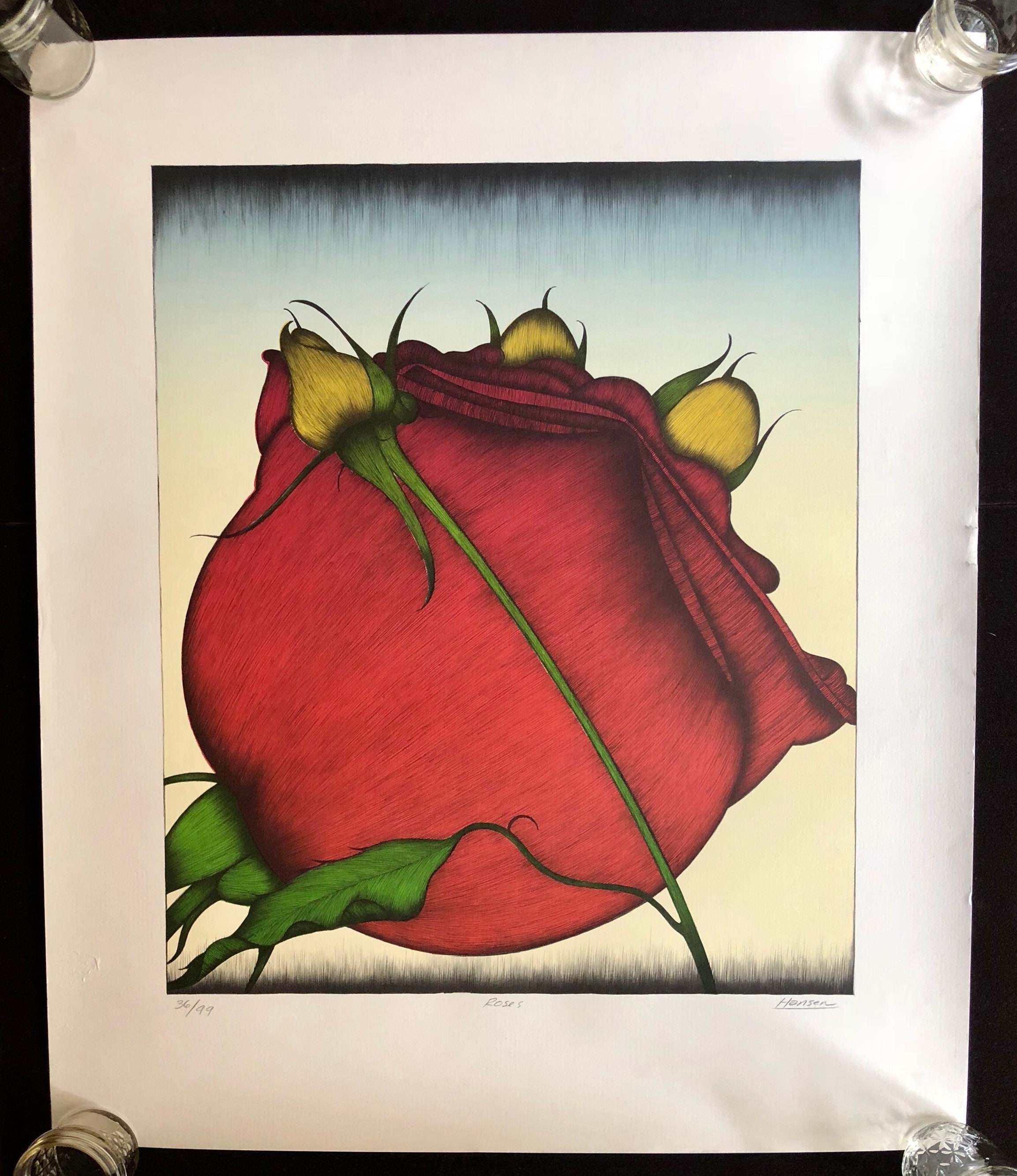 Art Hansen Large Etching Roses 36/99 Northwest - Etsy.de