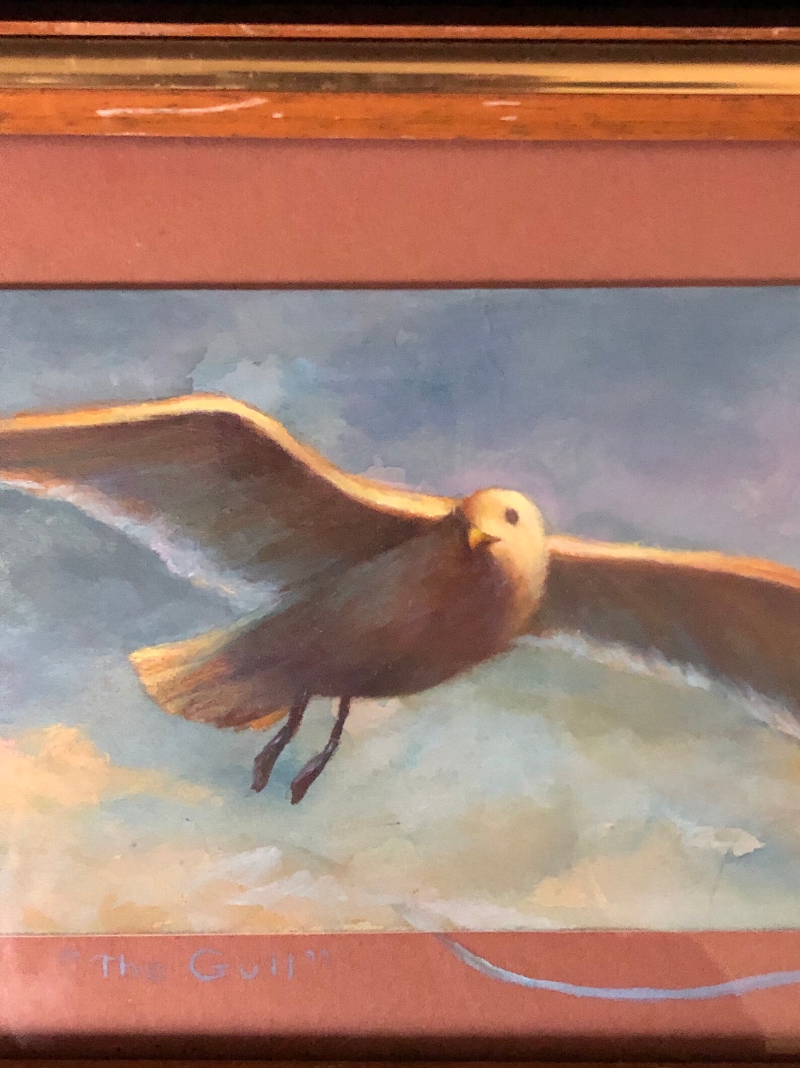 Doris Scott Nelson the Gull Seagull Oil Painting Signed - Etsy