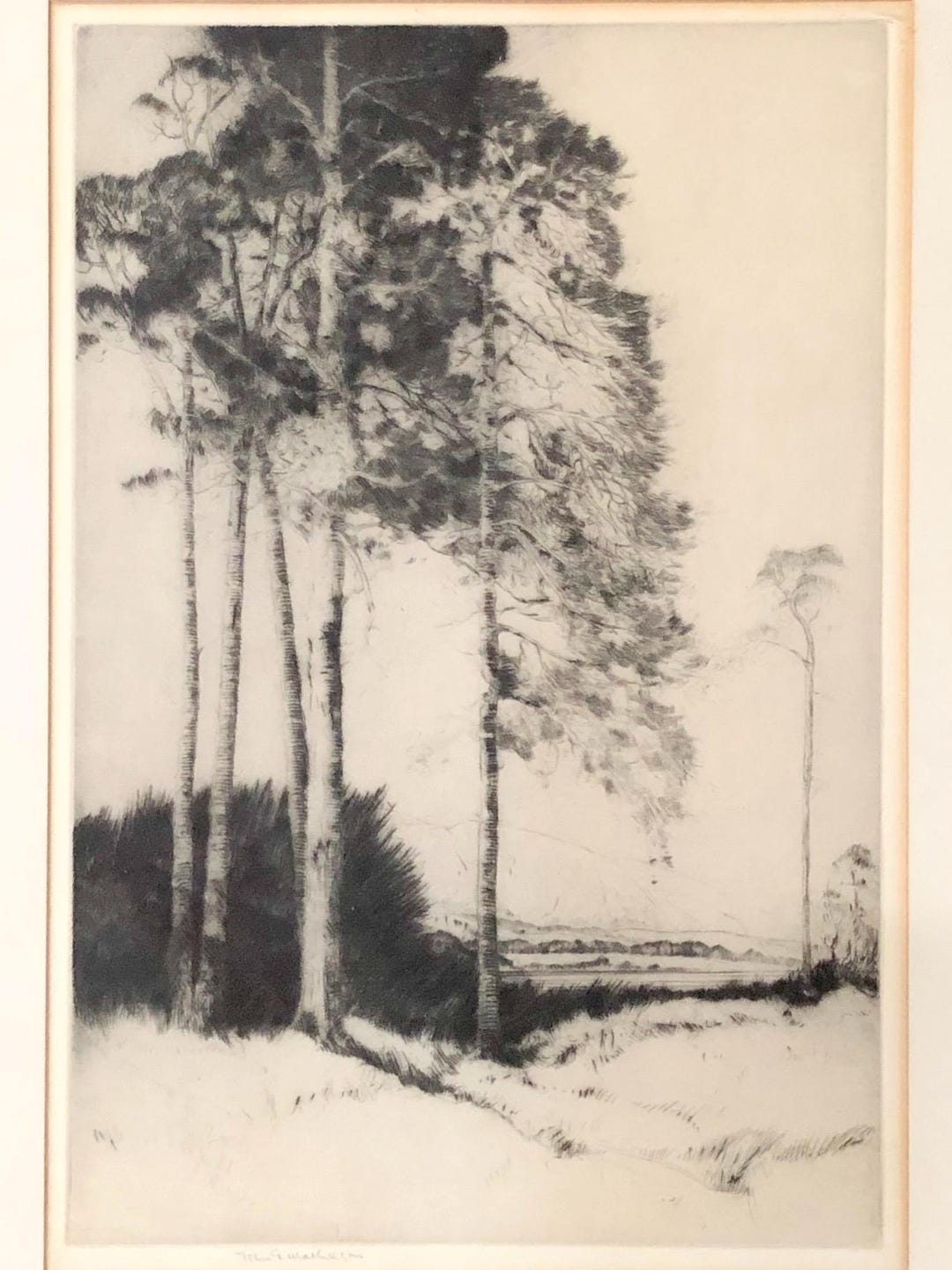 John George Mathieson - Trees Vintage Etching Framed Scottish Landscape ...