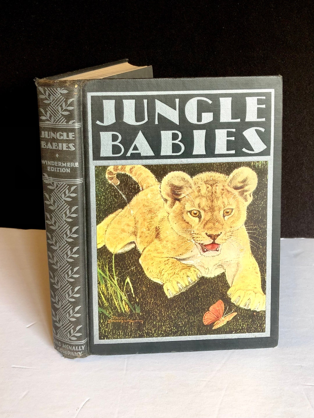 Jungle Babies - Edyth Kaigh-eustace 1937 Illustrated by Paul Bramson ...