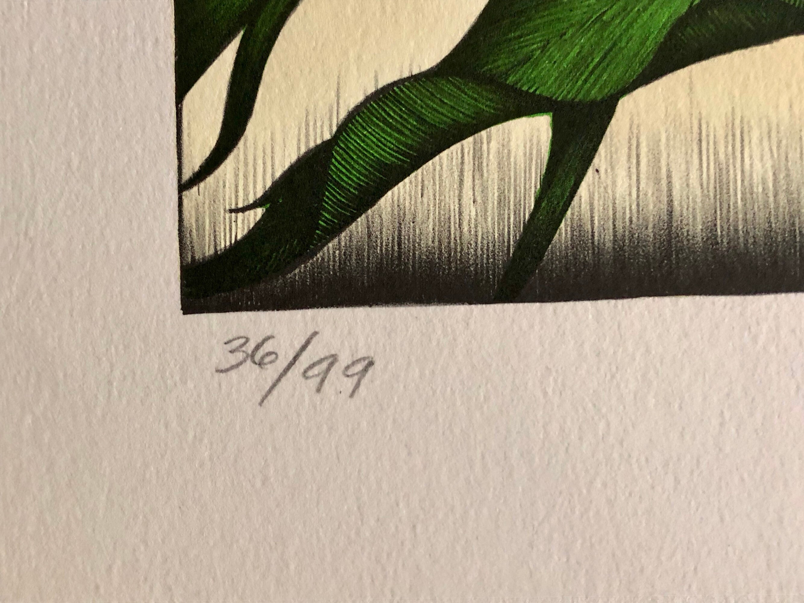 Art Hansen Large Etching Roses 36/99 Northwest - Etsy.de