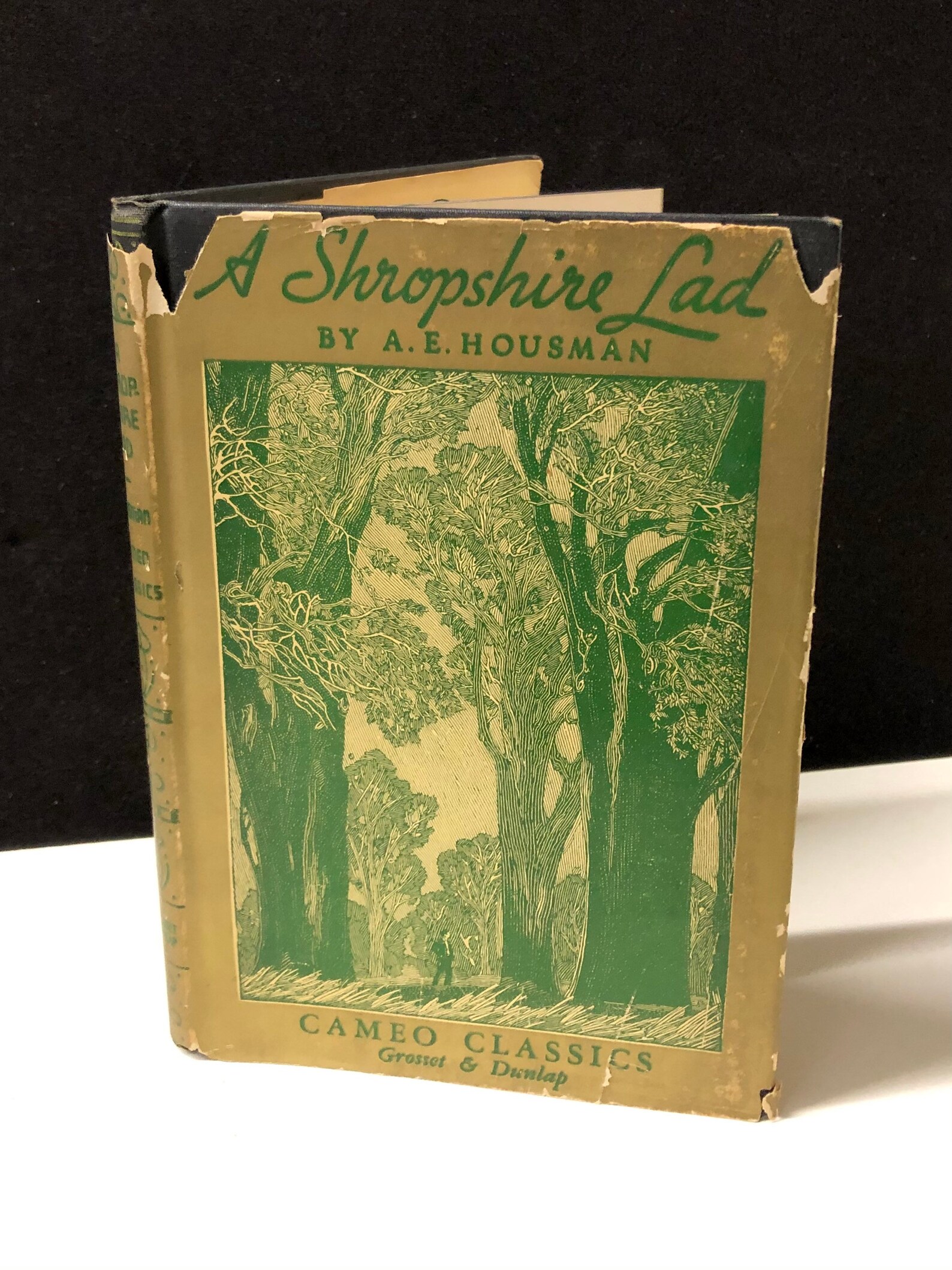 A Shropshire Lad AE Housman 1932 Cameo Classics Illustrated | Etsy