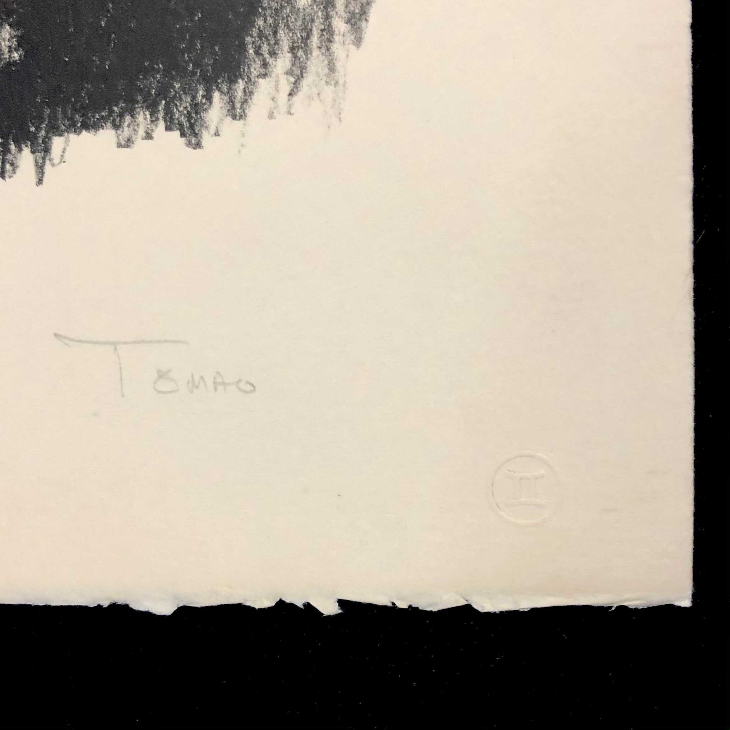 Jennie Tomao patriarch B/W Lithograph Gemini GEL Artists - Etsy Norway