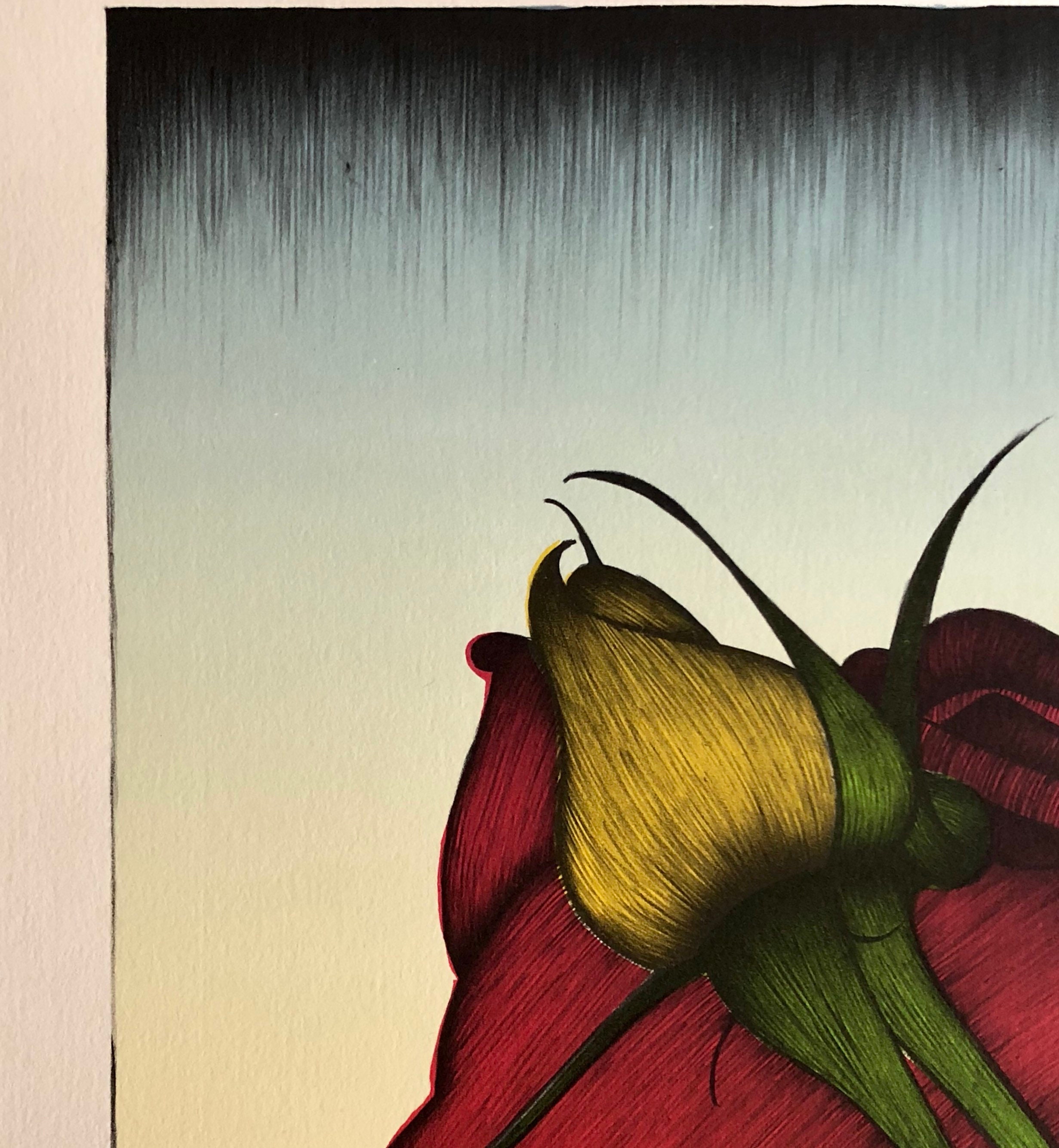 Art Hansen Large Etching Roses 36/99 Northwest - Etsy.de