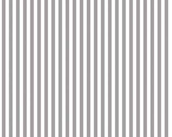 1/4 Stripe Gray, Riley Blake Designs Basic Fabric C555 Gray Gray and ...