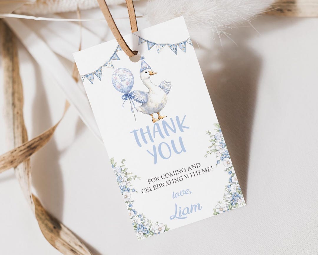 One Silly Goose Birthday Thank You Tag, Editable Goose Boy 1st Birthday ...