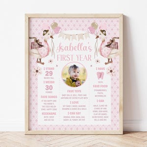 One Silly Goose Birthday Sign, Pink Girl 1st Birthday Milestone Poster ...