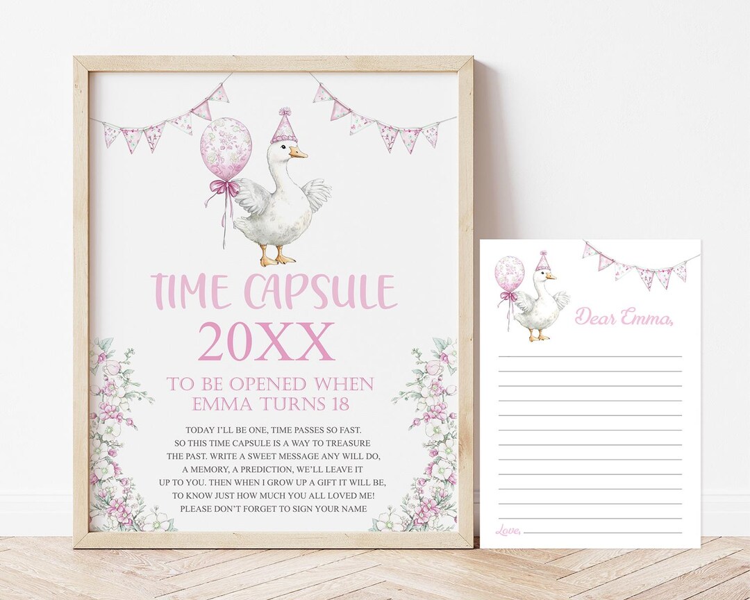One Silly Goose Time Capsule for Girl, 1st Birthday Message Card ...