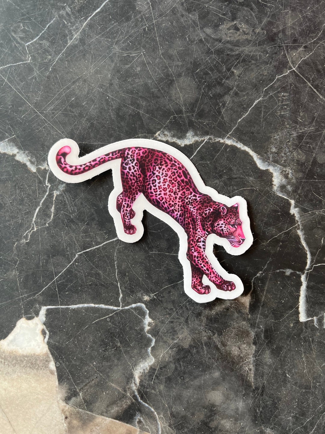 Pink Leopard Drawing Sticker - Etsy