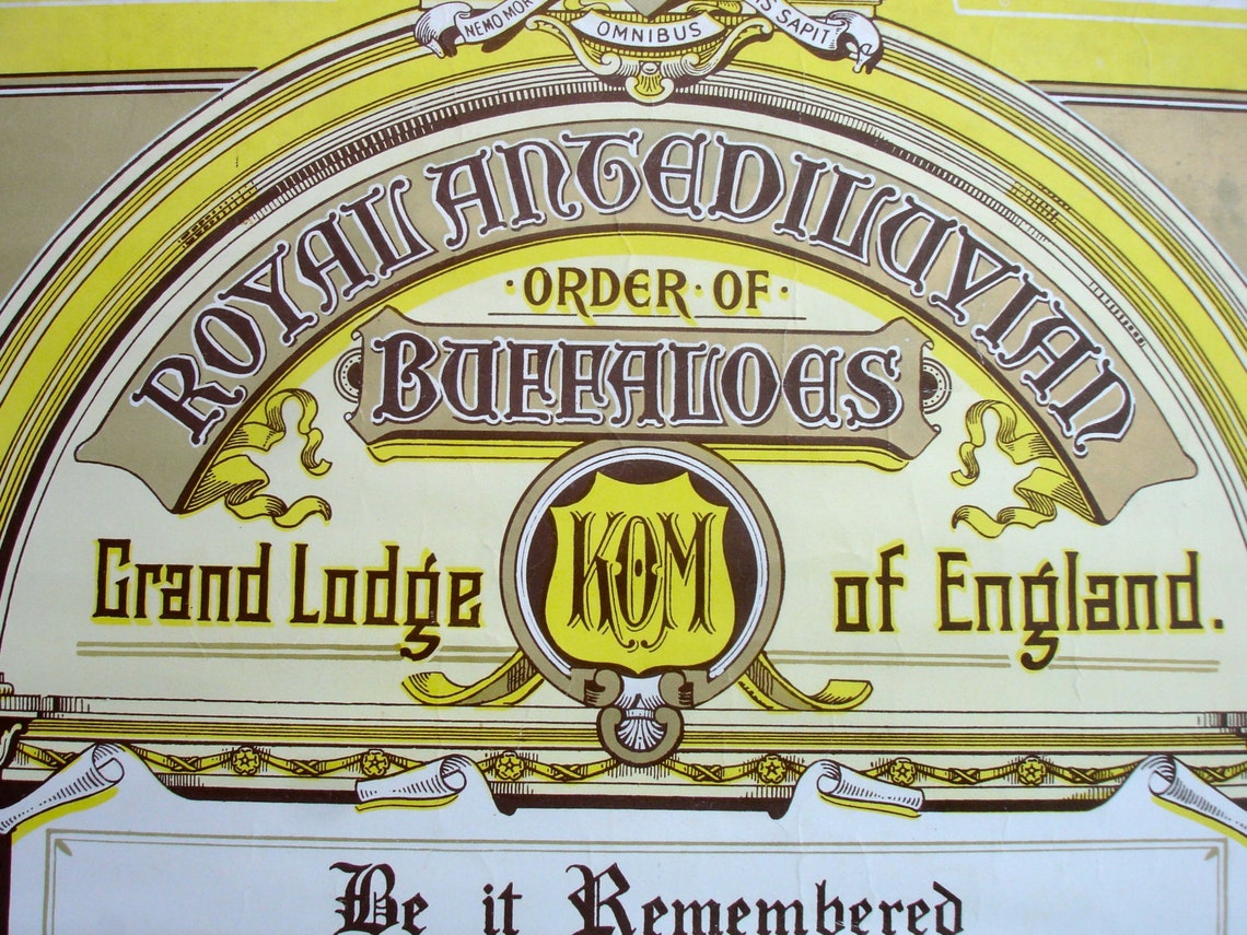 The Royal Antedeluvian Order of Buffalo Vintage Certificate Knight ...