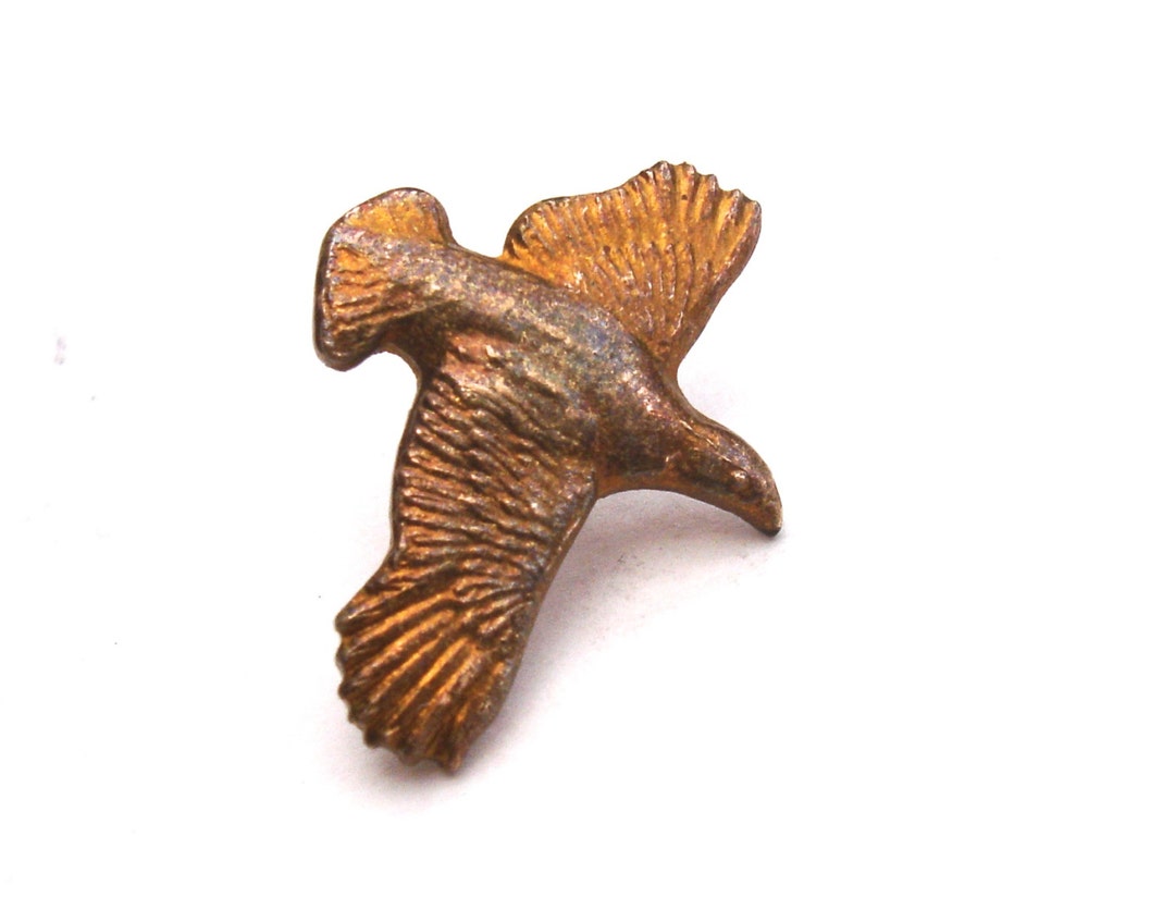 Vintage Bird of Prey Badge Pin Badge Lapel Badge Vintage Fancy Dress ...