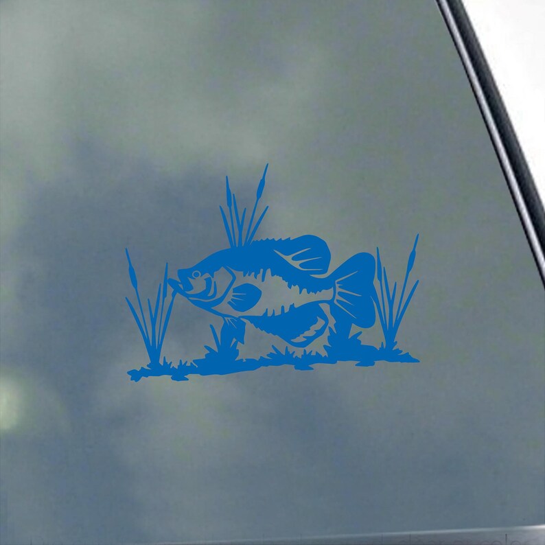 Crappie in Cattails Vinyl Sticker Fishing Fish Hunter Sportsman Car ...